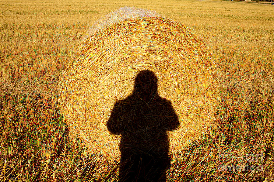 Shadow Photograph By Esko Lindell Fine Art America