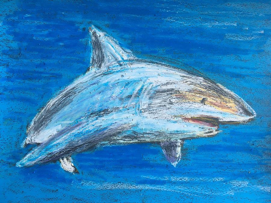 Shark Pastel by Renata Mantel - Fine Art America