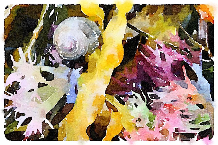 Shell Life Photograph by Modern Art - Pixels