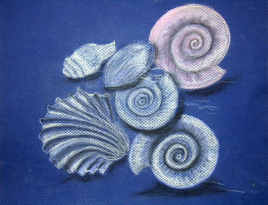 Shells Painting by Barbara Teller | Fine Art America