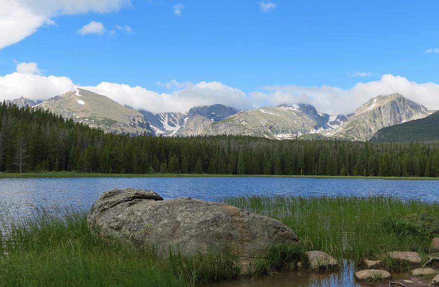 She's a Natural Beauty Photograph by Karen Briggs - Fine Art America