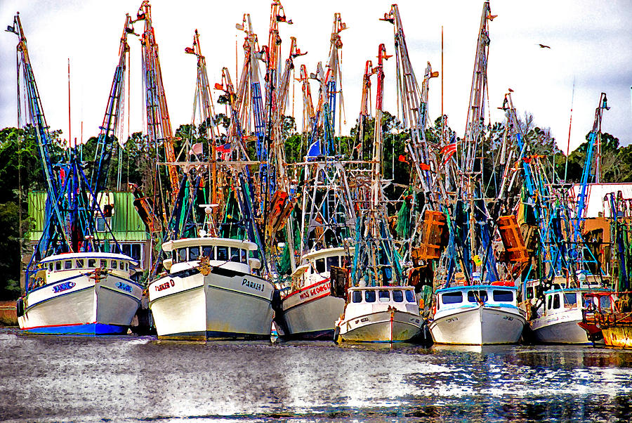 Shrimp Fleet Photograph By Joe Benton