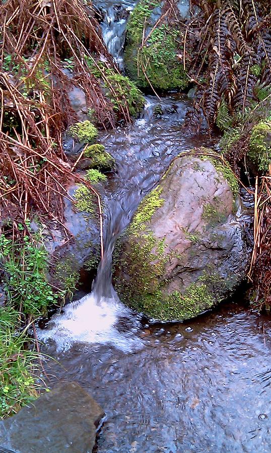 Silent Water Photograph by Anthony Manders - Fine Art America