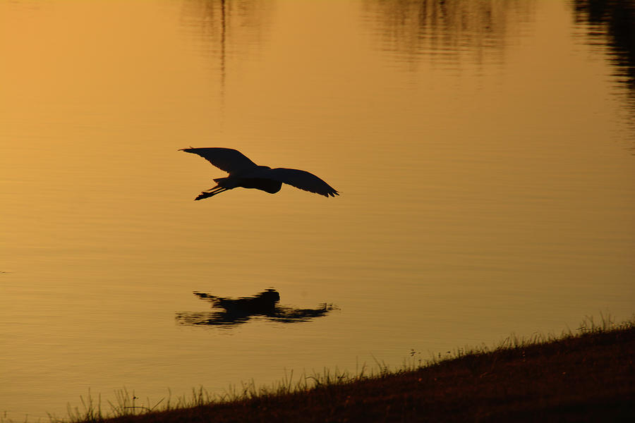 Silhouette with reflection in the lake Photograph by Brigitta Diaz ...