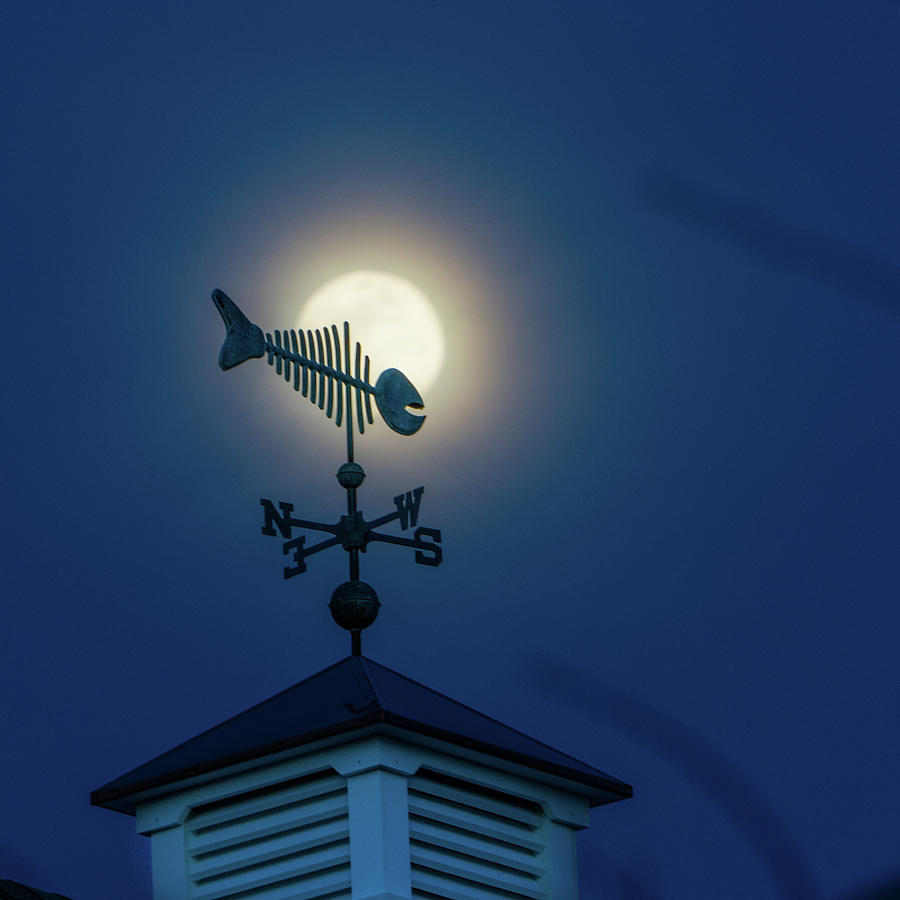 Skeleton Moon Photograph by Daniel Scheerer