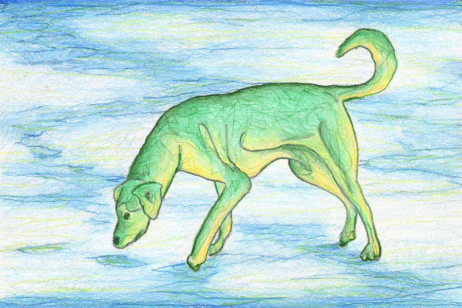 Sniffing Drawing by John Terwilliger | Pixels