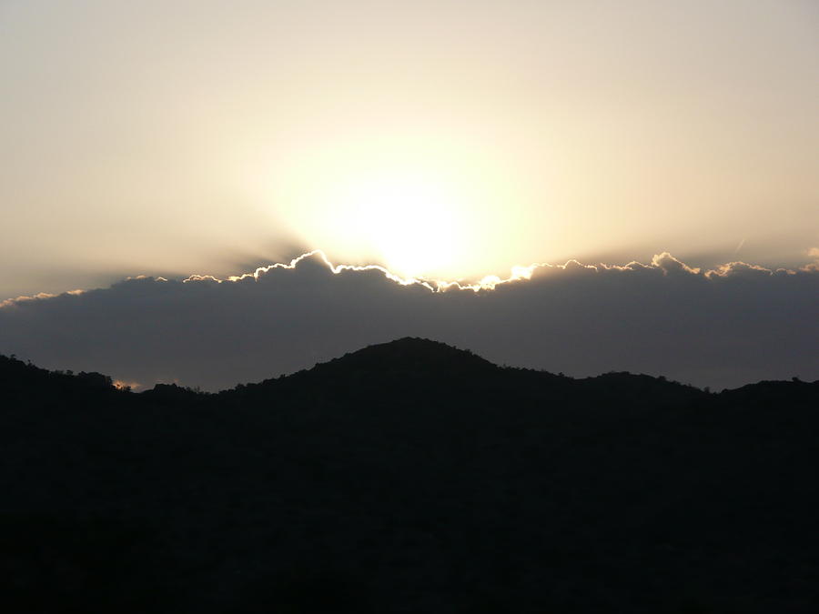 Soft Transiency Photograph by Dmytro Toptygin - Fine Art America