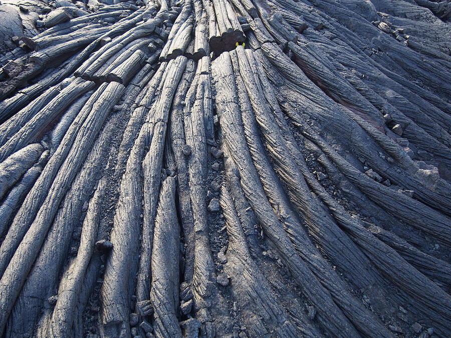 Solid Photograph by Grace Sommers - Fine Art America