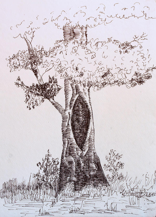 Solitude Drawing by Melisa Meyers - Fine Art America