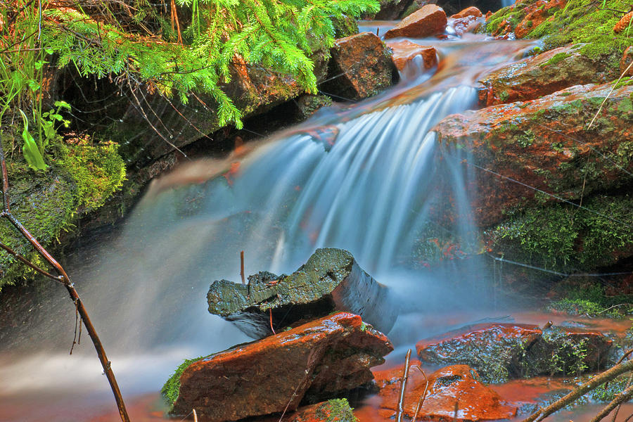 Spider Achitecture Mixed Media by Todd Yoder - Fine Art America