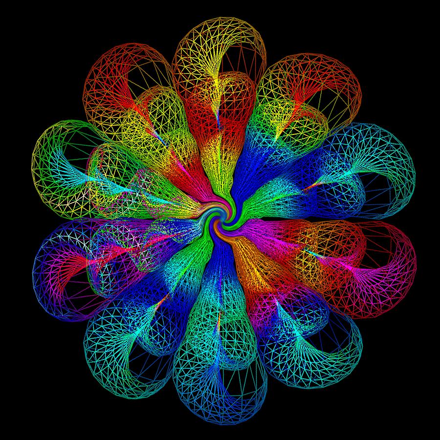 Spiriling Shells Zeerkl Photograph by Edelberto Cabrera - Fine Art America