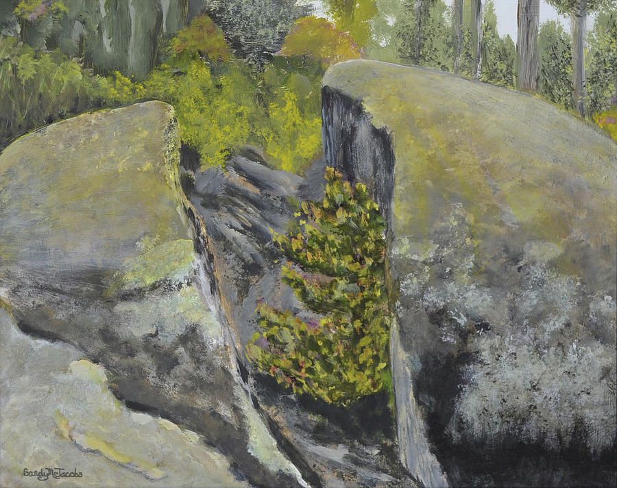 Split Boulder Painting by Sandy Murphree Jacobs - Fine Art America