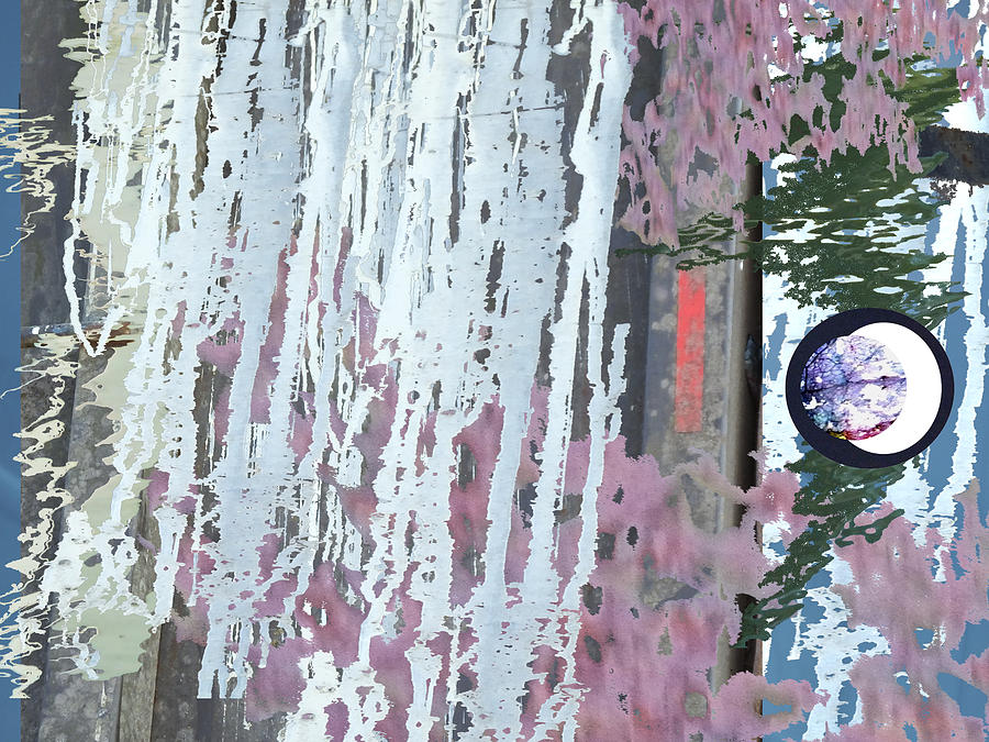 Sprayed Study 2 Photograph by Lyn Perry - Fine Art America