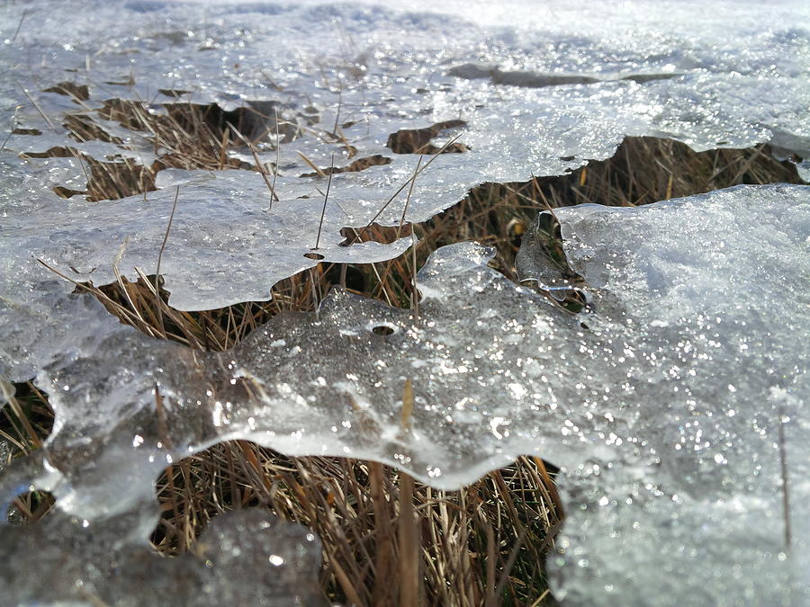 Spring Melt Photograph by Crystal Pascoe - Fine Art America