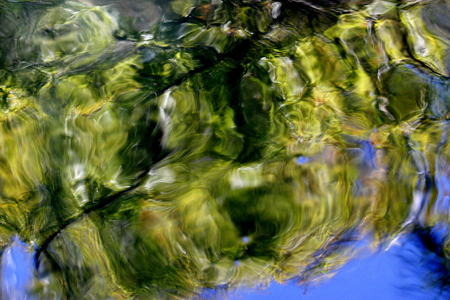 Spring Reflection Photograph by Bill Keiran - Fine Art America