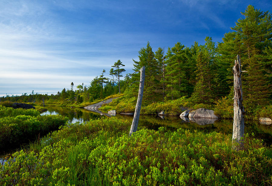 Spring Stillwater Stream Photograph by Irwin Barrett - Fine Art America