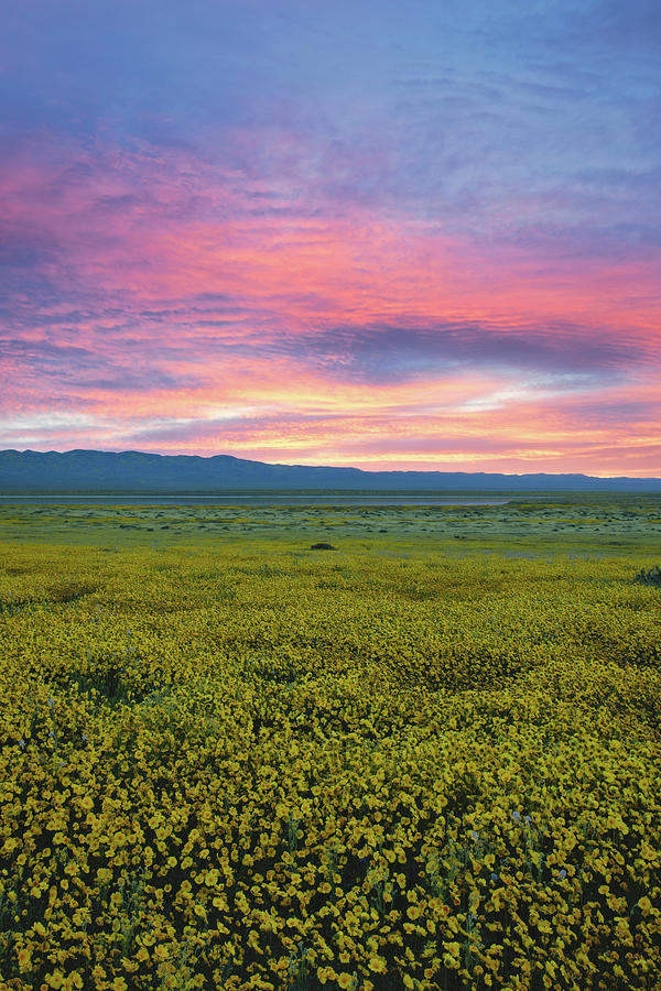 Spring sunrise over the Temblor Range and Soda Lake. Photograph by ...