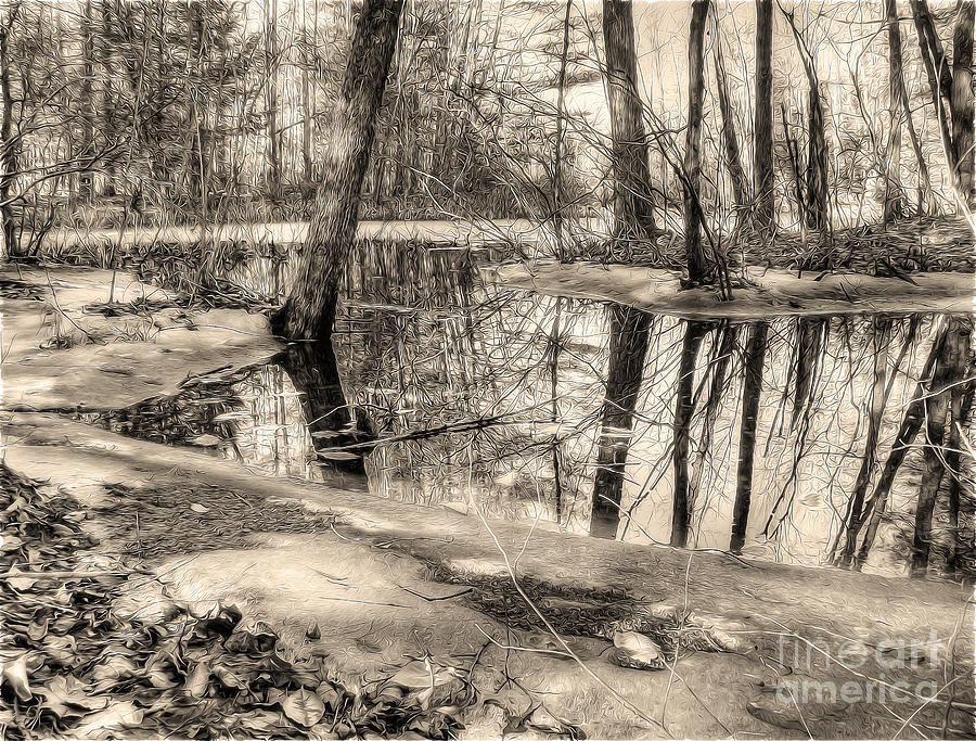 Spring Thaw Photograph by Betsy Zimmerli - Fine Art America
