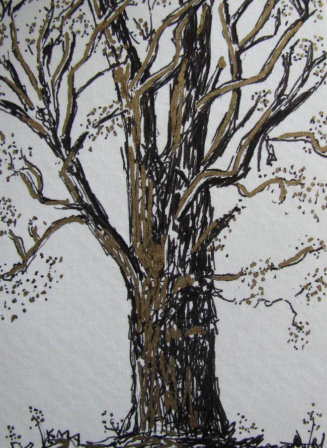 Spring Tree Drawing by Kimberly Abraham