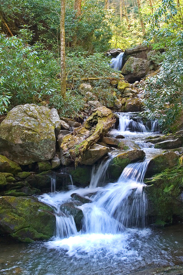 Springtime Cascade Photograph by Gary Compton - Fine Art America