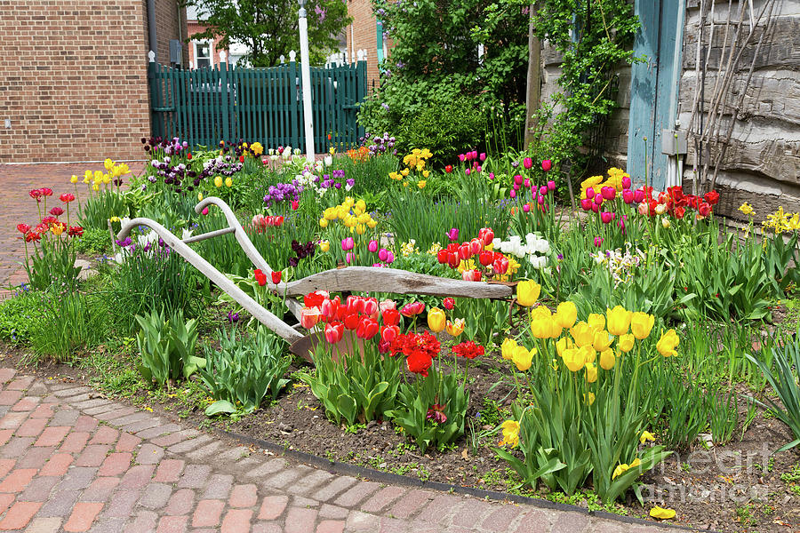 Springtime Display Photograph by Terri Morris - Fine Art America