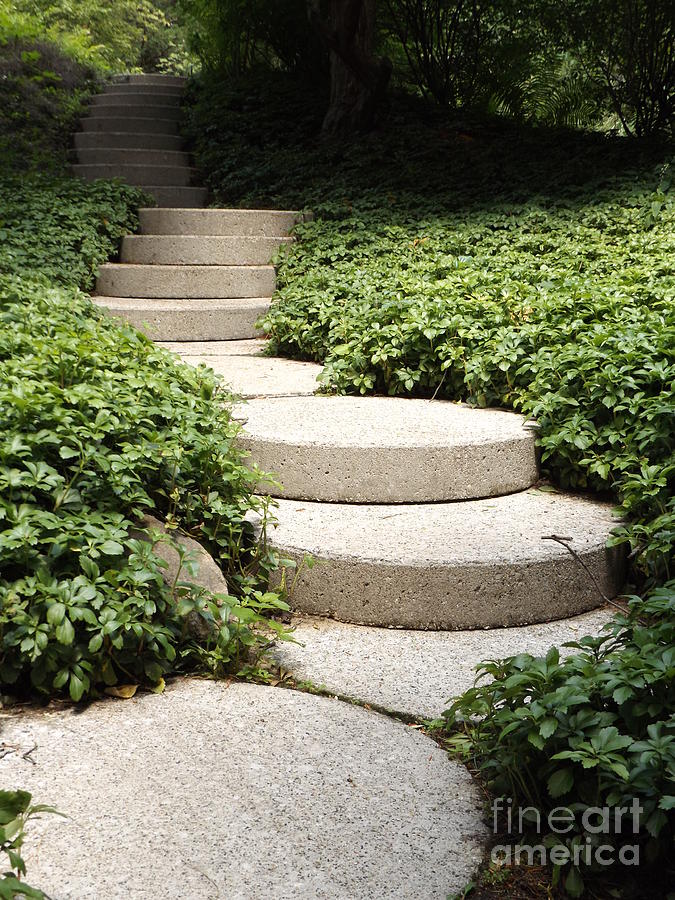 Stairway to Nature Photograph by Erick Schmidt - Pixels