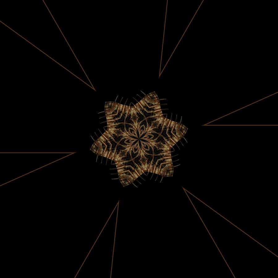 Star focus Digital Art by Cheryl Hall - Fine Art America