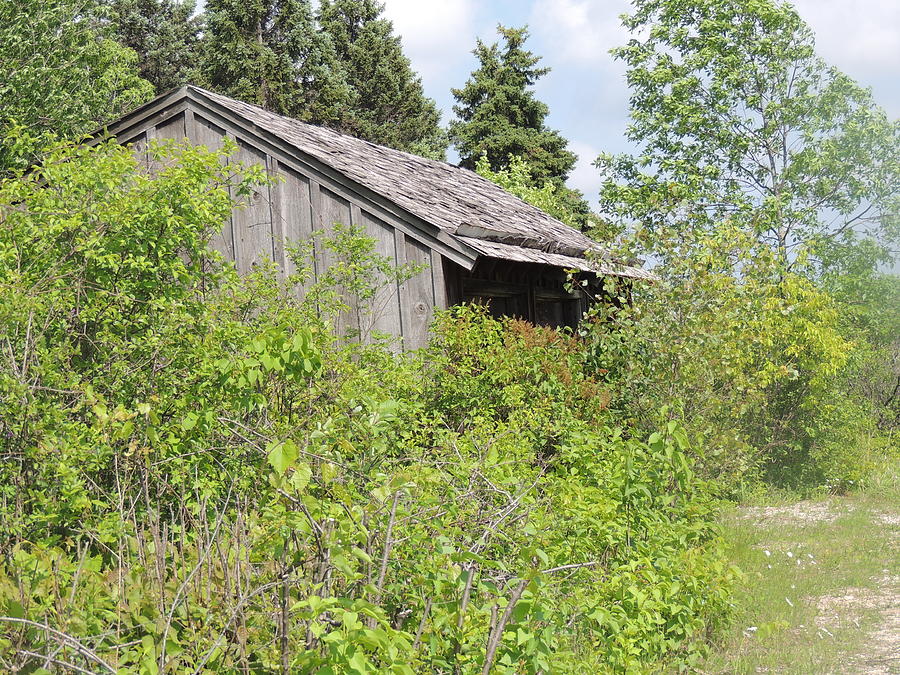 Still Standing Barn Photograph by Cindy Freeman - Fine Art America