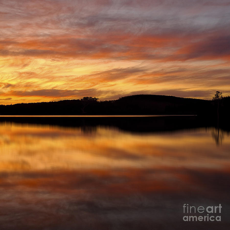 Stillness Photograph by Paul Davenport - Fine Art America Stillness Photograph by Paul Davenport - Fine Art America