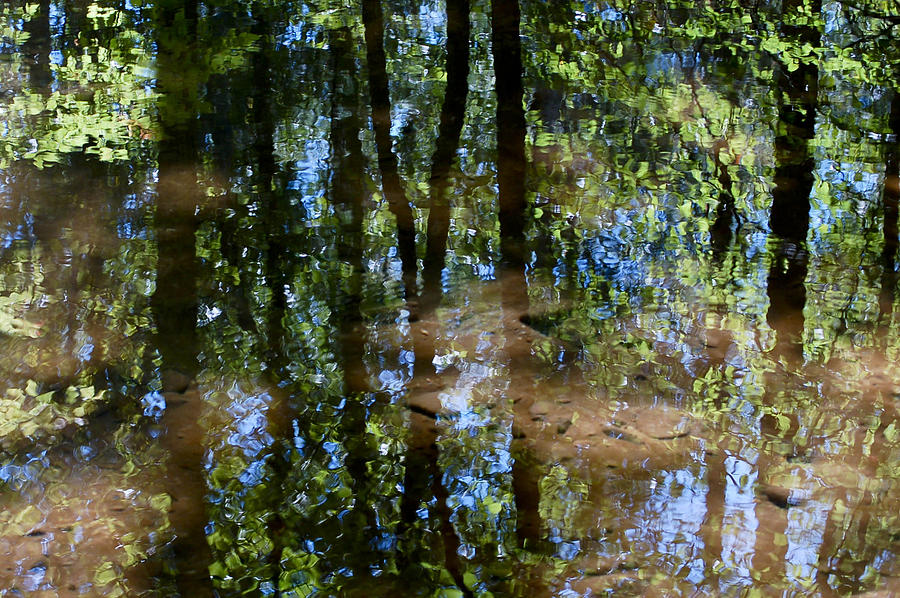 Stream Reflections Photograph by James Gallion - Fine Art America