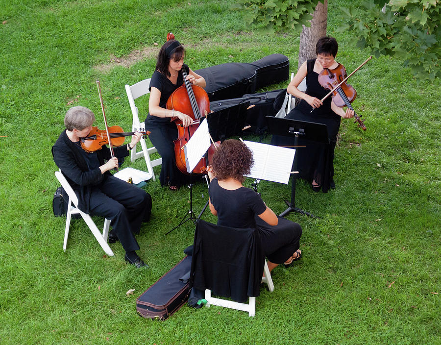 String Quartet Photograph by Robert VanDerWal - Fine Art America