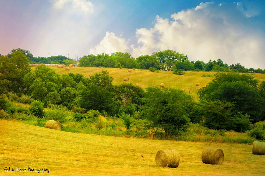 Stunning Hay Fields Photograph by Goldie Pierce