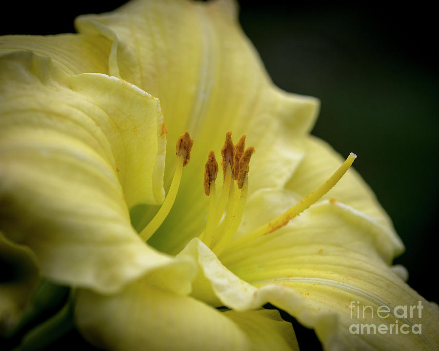 Summer Splendor Photograph by KG Photography - Fine Art America