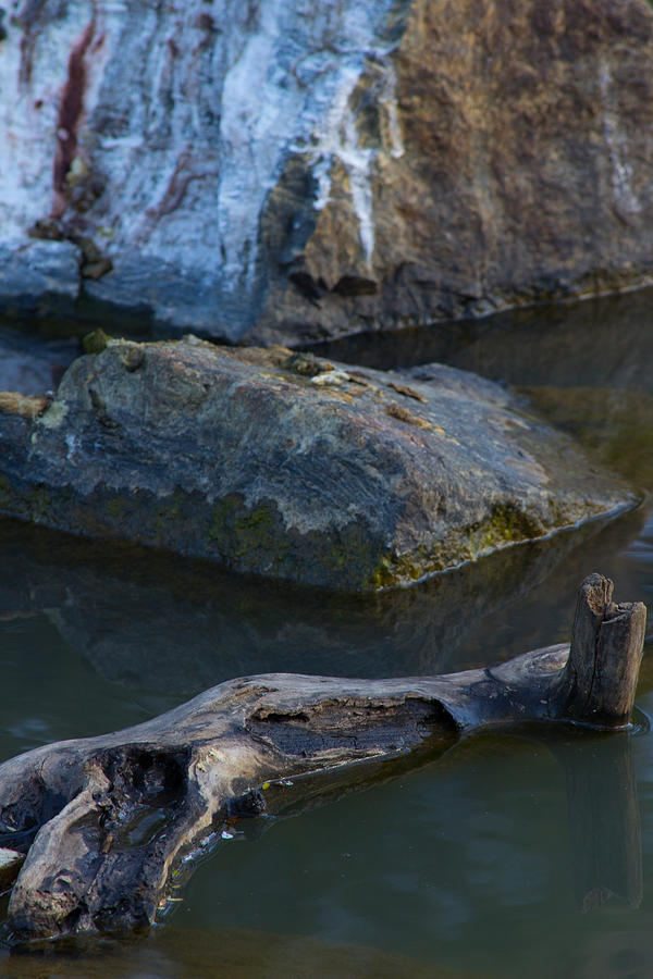 Sunken Objects Photograph by Voodoo Delicious - Fine Art America