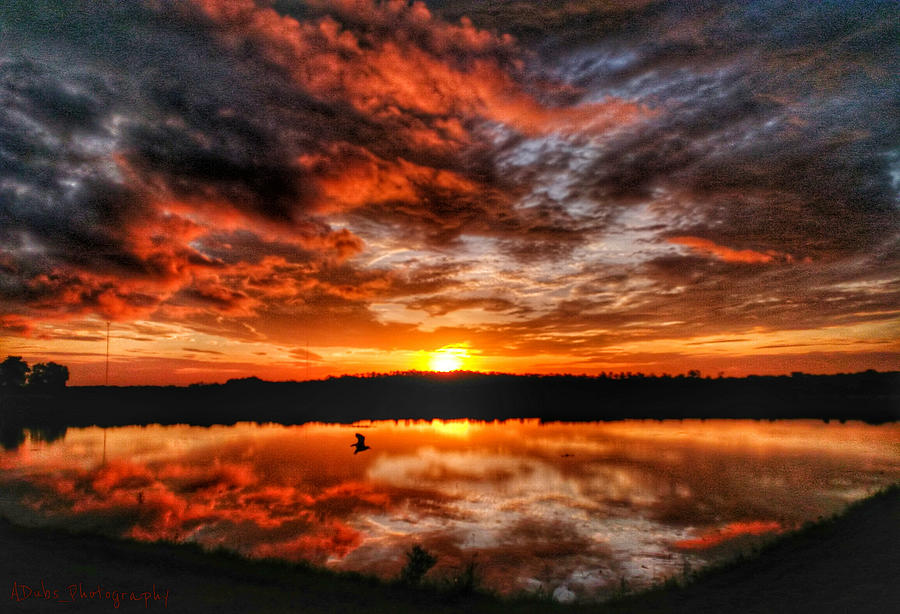 Sunrise Reflection 2 Photograph by Allen Williamson - Fine Art America