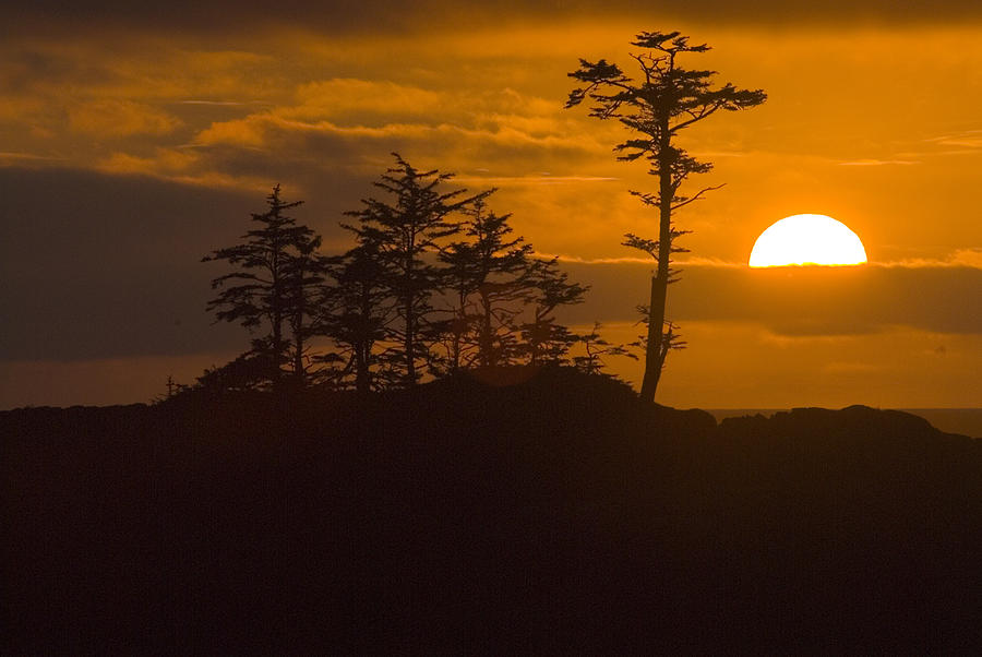 Sunset Pyrography by David Lilly - Fine Art America