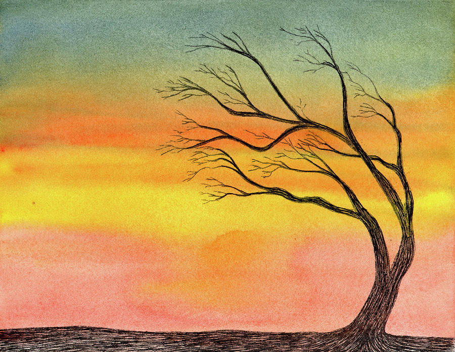Sunset Etching Drawing by Ed Einboden - Fine Art America