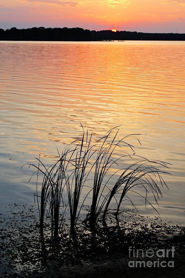 Sunset on Lake Fairfield Photograph by Gary Richards - Fine Art America