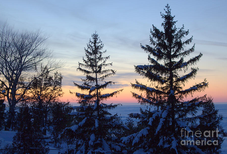 Sunset Snowfall Pines Photograph by John Scatcherd - Fine Art America