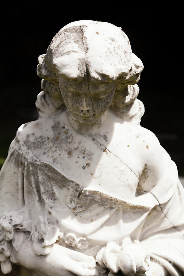 Sunset View Cemetery and Mortuary in El Cerrito California 5D3082 ...