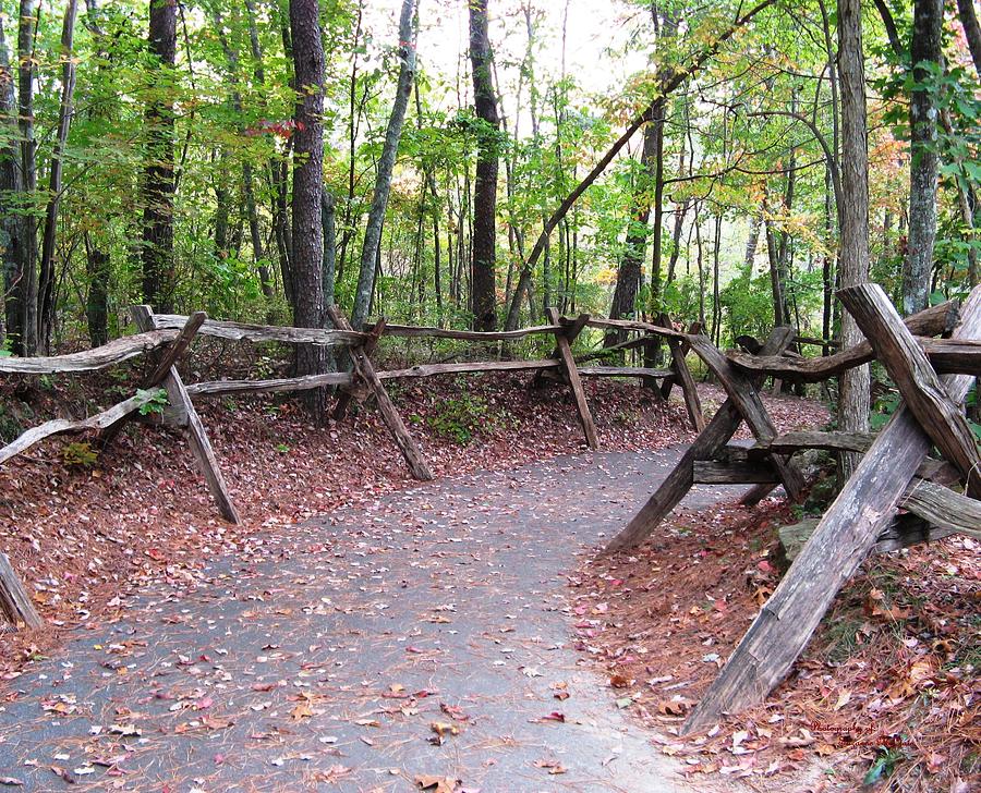 Switchback Walkway Digital Art by Suzanne McClain - Fine Art America