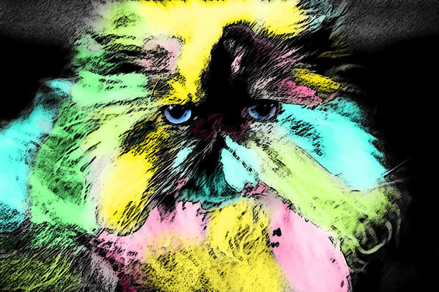 Techno-Cat Photograph by John Vial - Fine Art America