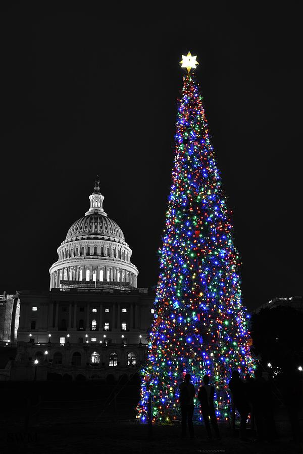 The Capitol Christmas Tree Photograph by Scott Maffett | Fine Art America