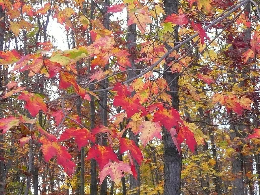 The Changeover Photograph by Shari Graham - Fine Art America