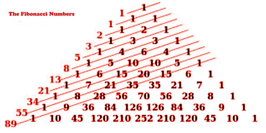 The FibonaccI Numbers Catus 1 no. 3 H b Painting by Gert J Rheeders ...