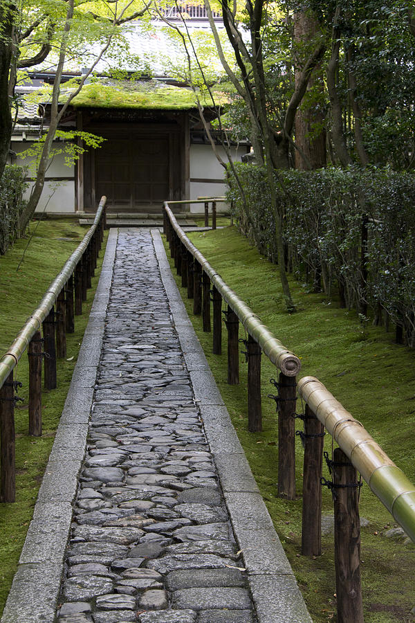 The First Path Photograph by Richard Baker