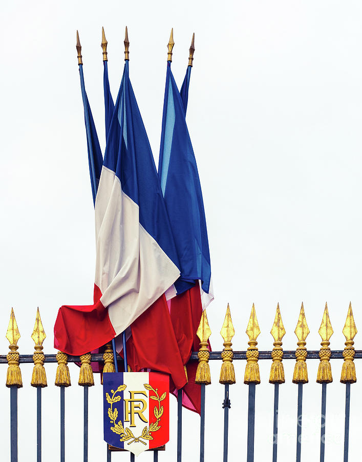 The French Republic Photograph by Sonja Quintero - Fine Art America