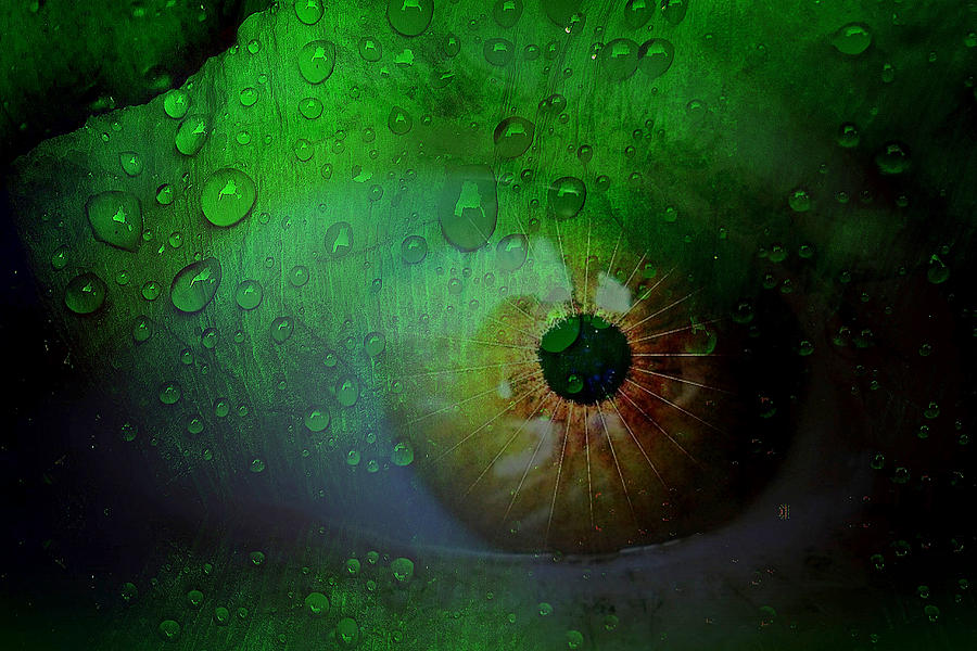 The observer Photograph by Birgit Presser - Fine Art America