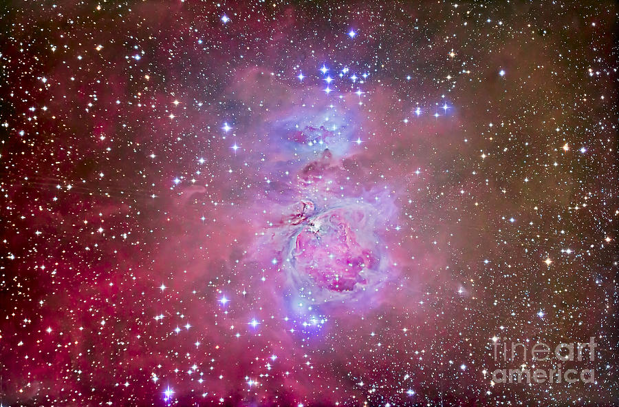 The Orion Nebula Region Photograph by Alan Dyer - Pixels