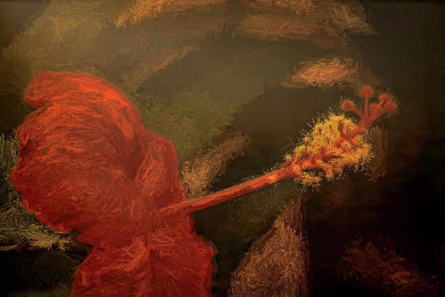 The Reach Mixed Media by Todd Yoder - Fine Art America